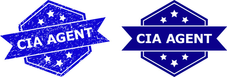 Fbi Watermark Spy Vector Images (over 170)