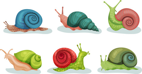 A slow snail Royalty Free Vector Image - VectorStock