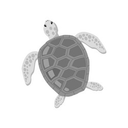 Turtle isolated on white background Royalty Free Vector