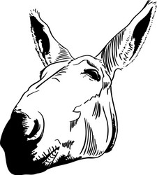 Free Mule Vector Images (58)