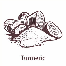 Turmeric Vector Images (over 2,800)