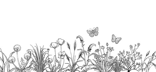 Field Pencil Drawing