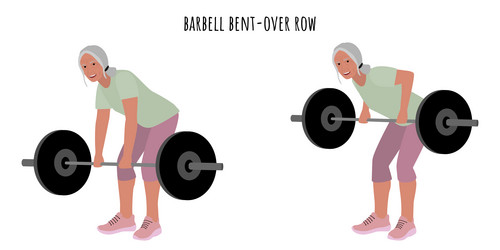 Senior woman doing bent-over row exercise Vector Image