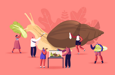 Girl Clam Vector Images (75)