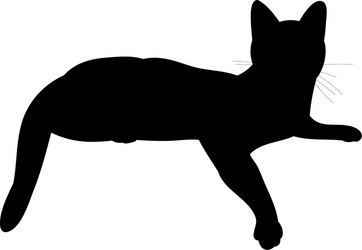 Cat Side Profile Silhouette