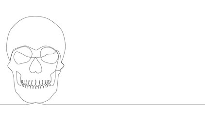 Human Head Line Drawing Vector Images (over 16,000)