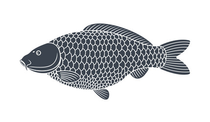 Grass carp Royalty Free Vector Image - VectorStock