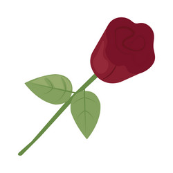 Red rose icon detailed style Royalty Free Vector Image
