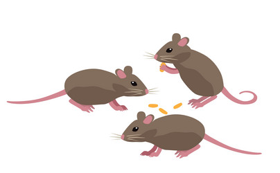 Cartoon Mouse Elegant Vector Images (over 170)