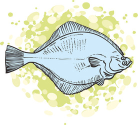 Halibut Vector Images (over 560)