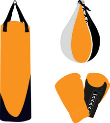 Boxing set Royalty Free Vector Image - VectorStock