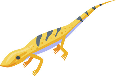 Gekko Vector Images (52)