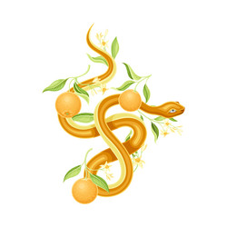 Snake coiled around lemon tree Royalty Free Vector Image