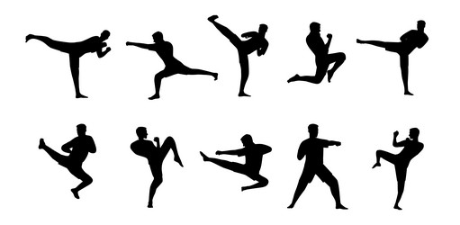 Set of karate men doing some karate move Vector Image