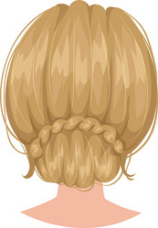Female woman head hairstyle front side portrait Vector Image