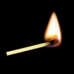 Realistic fire match stick burning step Royalty Free Vector