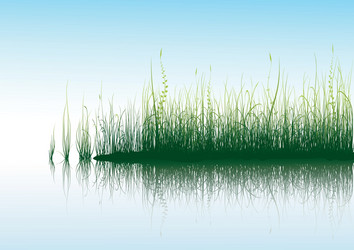 Water Grass Vector Images (over 39,000)