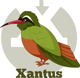 Cartoon smiling hummingbird Royalty Free Vector Image