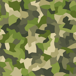 Camo Sharp Vector Images (84)