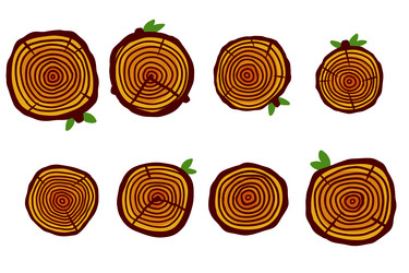 Cut tree trunk stump cross section Royalty Free Vector Image