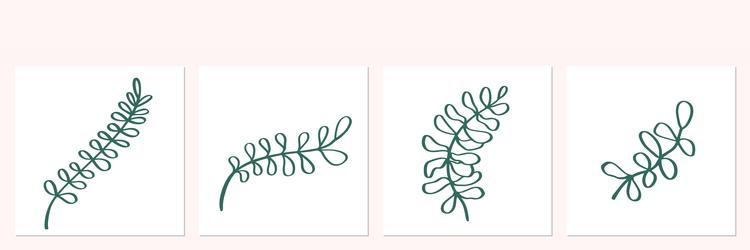 One line tropical palm tree leaves modern single Vector Image