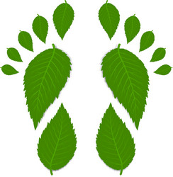 Footprint leaf Royalty Free Vector Image - VectorStock