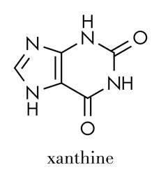 Xanthine purine base molecule skeletal formula Vector Image