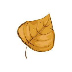 Color autumn leaf cartoon Royalty Free Vector Image