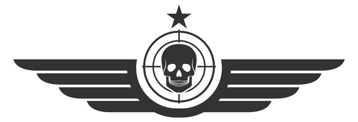 Military aircraft emblem with skull roundel Vector Image