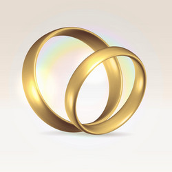 Pair of wedding rings Royalty Free Vector Image