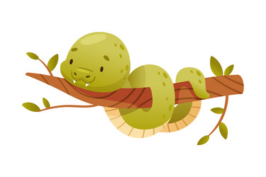 Curled Up Snake Vector Images (58)