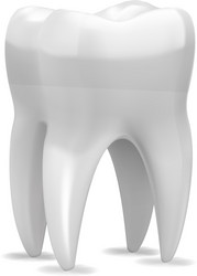 Tooth Vector Images (over 130,000)