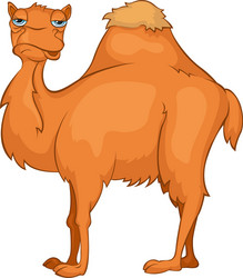 Camel Vector Images (over 15,000)