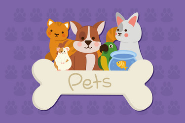 Cartoon cute pets Royalty Free Vector Image - VectorStock