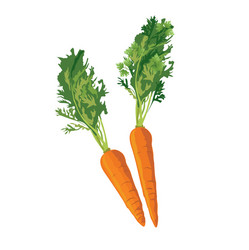 Carrot root vegetable cartoon Royalty Free Vector Image