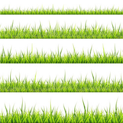 Seamless horizontal grass border green Royalty Free Vector