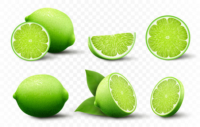 Lime Wedge Vector Images (over 740)