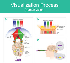 Business data visualization process chart Vector Image