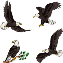Realistic Eagle Vector Images (over 1,300)