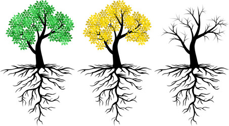 Plants roots systems growing fibrous trees Vector Image