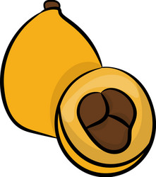 Loquat Vector Images (over 660)