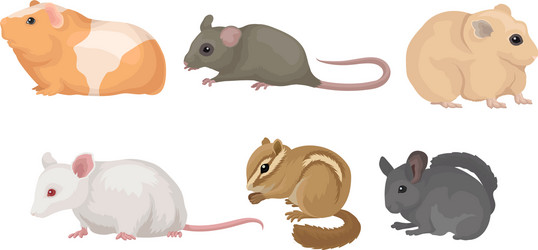 Gnawing Animal Vector Images (over 810)