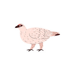 Partridge Vector Images (over 550)