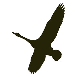 Man Facing Left Vector Images (over 230)