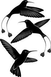 Hummingbird Vector Images (over 7,300)
