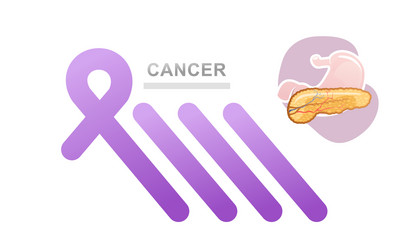 Pancreas Vector Images (over 5,600)