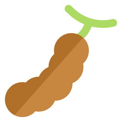 Tamarind a tropical pod like fruit Royalty Free Vector Image