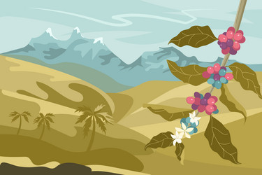 Landscape Plantation Coffee Vector Images (over 120)