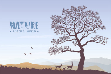 Nature Vector Images (over 5.1 million)
