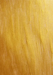 Gold texture paint stain hand drawn brush stroke Vector Image